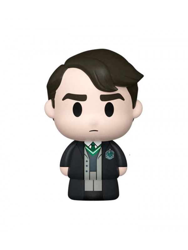 Funko Pop HP Anniversary - Draco w/Tom Riddle Chase (Case 5+1) Harry ...