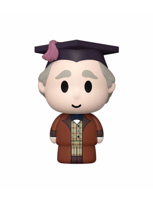 Funko Pop HP Anniversary - Professor Snape w/Slughorn Chase (Case 5+1 ...